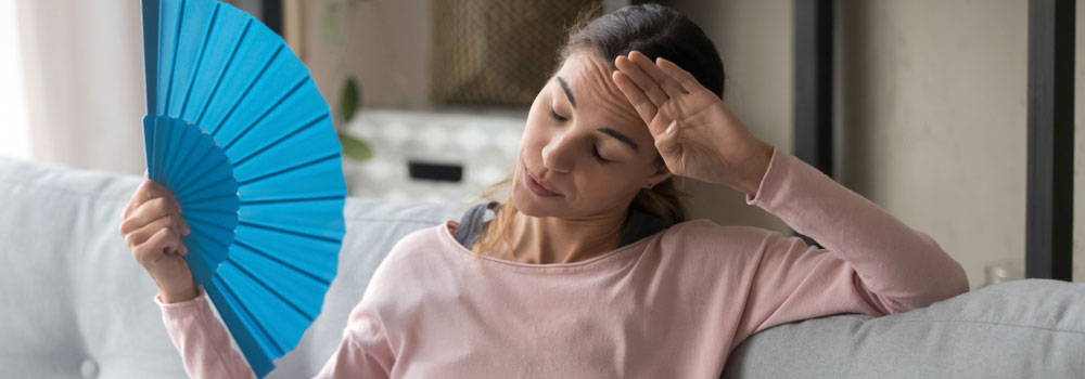 Integrated Solar Roof - Atum